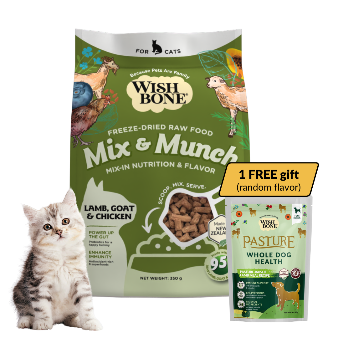 Wishbone Graze Beef and Lamb Recipe for Cats – Wishbone Singapore