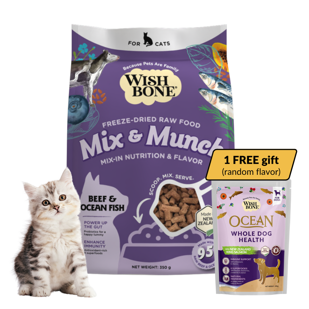 Wishbone Graze Beef and Lamb Recipe for Cats – Wishbone Singapore