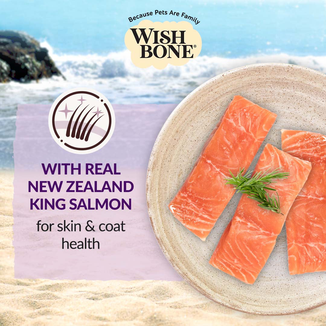 Wishbone Ocean New Zealand King Salmon, Gluten Free, Grain Free Dry Ca ...