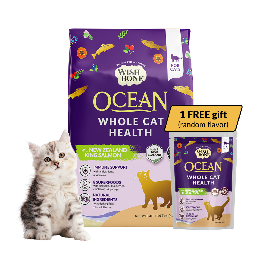 Wishbone SG Dog Food & Cat Food – Wishbone Singapore