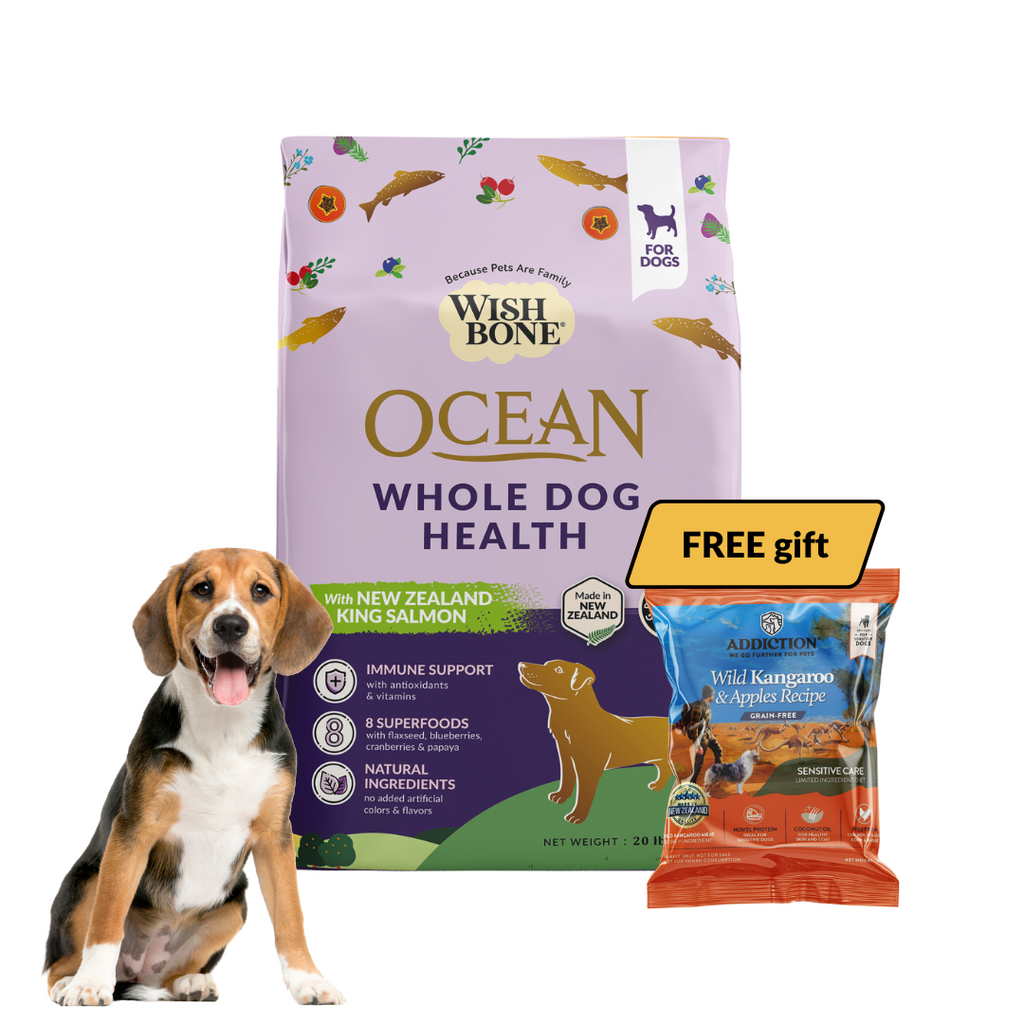 Wishbone SG Dog Food & Cat Food – Wishbone Singapore