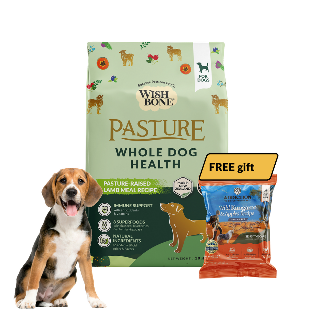 Wishbone SG Dog Food & Cat Food – Wishbone Singapore